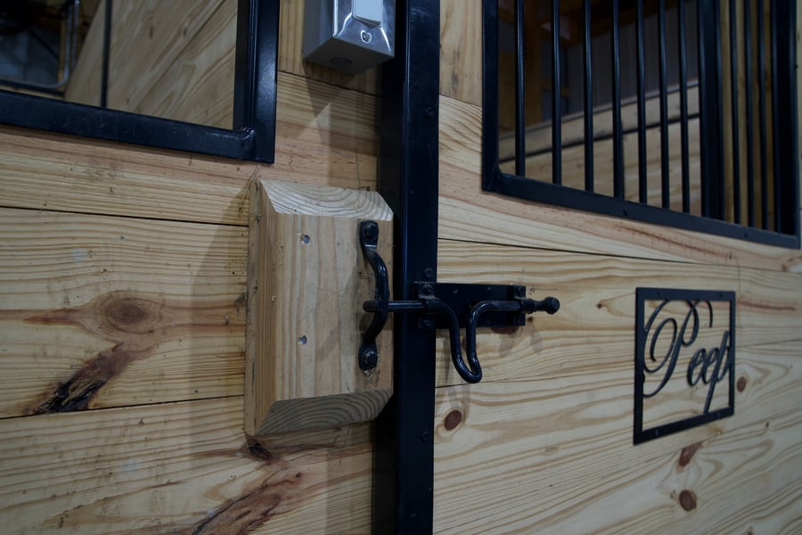 How Big Should a Horse Stall Be? 9 Factors to Consider