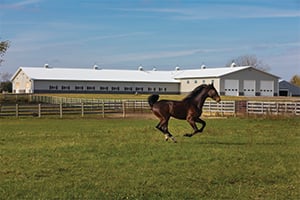 Managing Pole Barn Condensation: 5 Tips You Need to Know