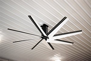 What Ceiling Materials Can I Use For My Pole Barn?