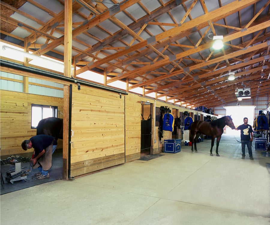 How Big Should a Horse Stall Be? 9 Factors to Consider