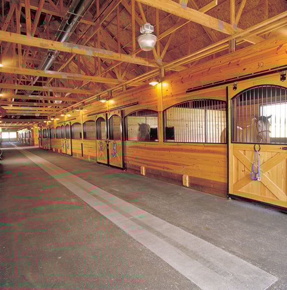 How Big Should a Horse Stall Be? 9 Factors to Consider