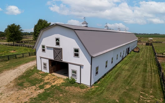 The Best of 2023: A Year in Review